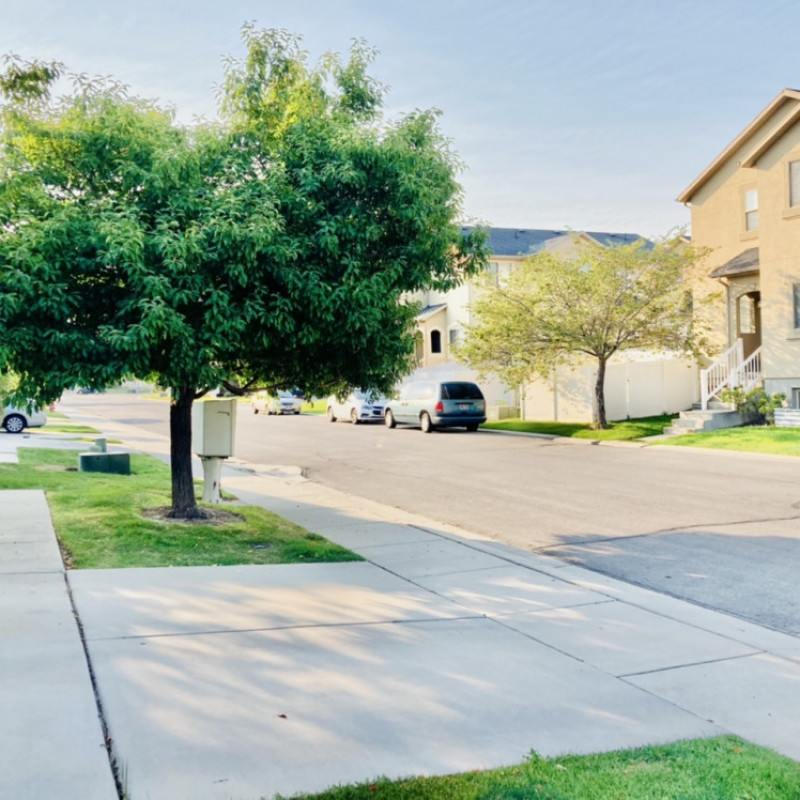 Townhomes at Pointe Meadows